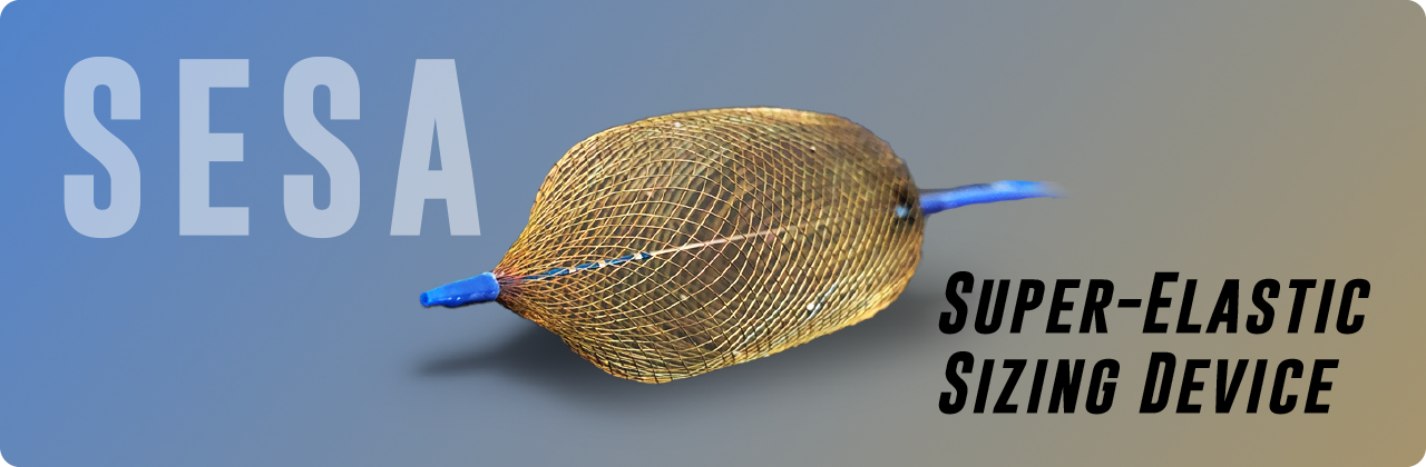 Structural Heart Products | simeks